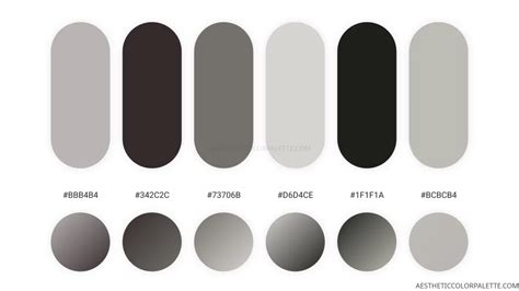 Graphite Grey Colors Aesthetic Color Palette