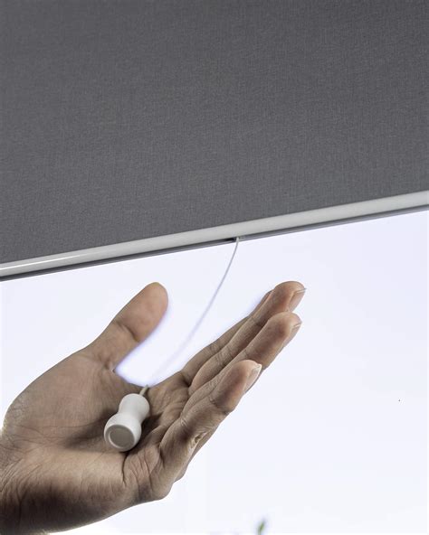 Chicology Roller Window Shades Window Blinds Window Shades For Home Roller