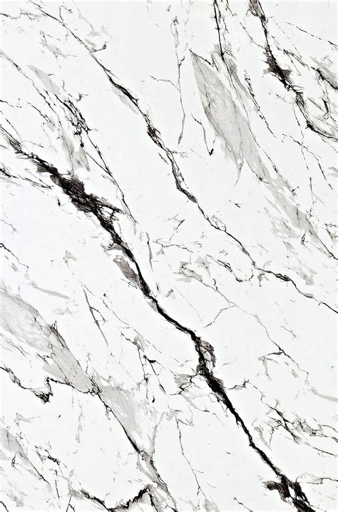 سنگ کد 1242 صفحه اصلی