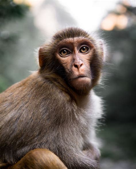 30 Of The Best Photos From Our Wild2020 Contest To Brighten Your Day