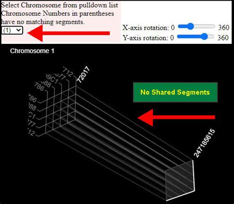 How To Use The 3d Chromosome Browser On Gedmatch Data Mining Dna