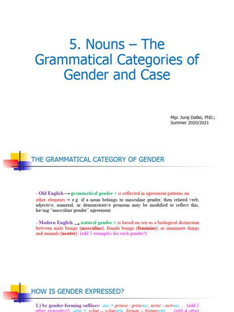 Nouns The Grammatical Categories Of Gender And Case Pdf