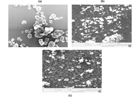 Sem Micrographs Of A Untreated Potato Starch B Chemically Treated