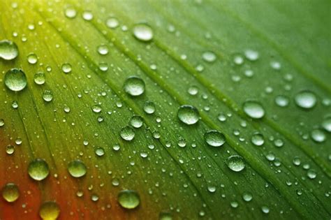 Opp Film Oriented Polypropylene For Packaging Solutions