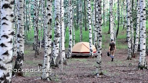 백패킹 자작나무숲에서 하룻밤 맑은 계곡 건강한 숲 여름철 최고의 트레킹 코스 Youtube