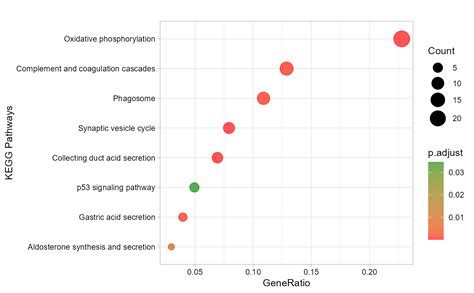 Kegg Enrichment Analysis And Dot Plot None Exist Reference Genome — Kegg Enrich Dot • Tomicsvis