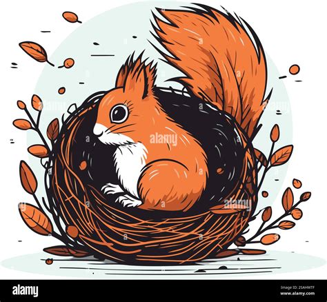 Cute Squirrel In A Nest Vector Illustration In Cartoon Style Stock