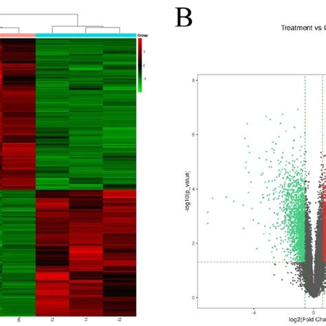 Identification Of Differentially Expressed Genes By Rna Seq Analyses In