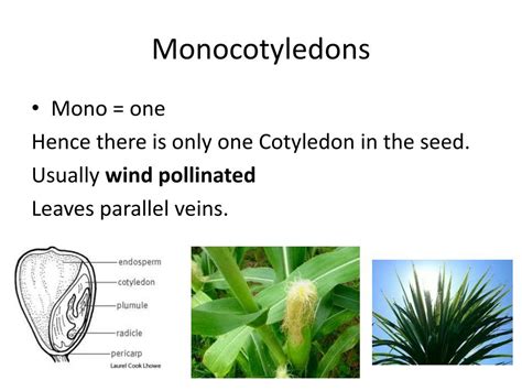 Ppt Communities Powerpoint Presentation Free Download Id2510152