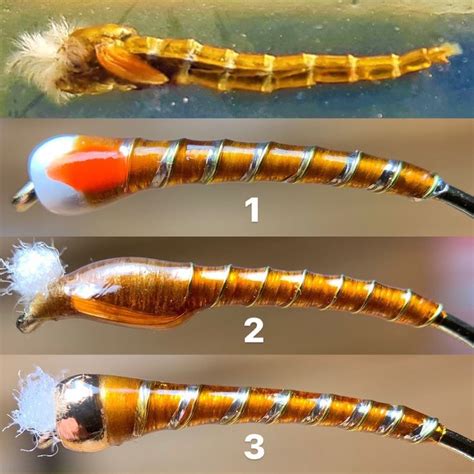 How To Tie Chironomid Fly Patterns At Taj Mccrone Blog