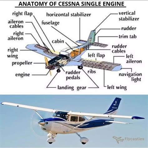 Airwoman On Instagram “airplanesecret 𝐀𝐧𝐚𝐭𝐨𝐦𝐲 𝐎𝐟 𝐂𝐞𝐬𝐬𝐧𝐚 𝐒𝐢𝐧𝐠𝐥𝐞 𝐄𝐧𝐠𝐢𝐧𝐞