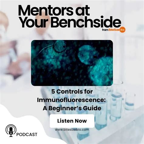 Mentors At Your Benchside 5 Controls For Immunofluorescence A
