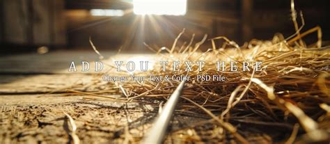 Timothy Hay Psd High Quality Free Psd Templates For Download Freepik