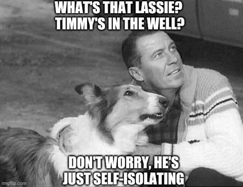 Whats That Lassie Latest Memes Imgflip
