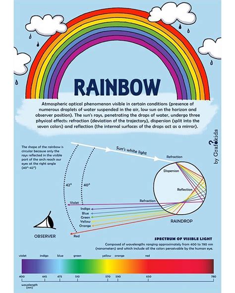 Infographic Tutorials By A Rainbow