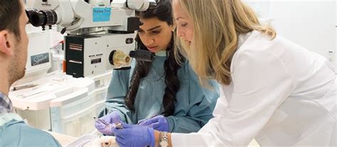 Eye Care Centre At Vgh Vancouver Bc Vancouver Local