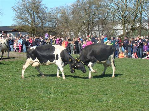 Gislum Højgaard Home