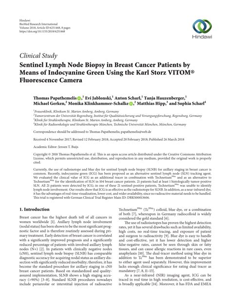 Pdf Sentinel Lymph Node Biopsy In Breast Cancer Patients By Means Of