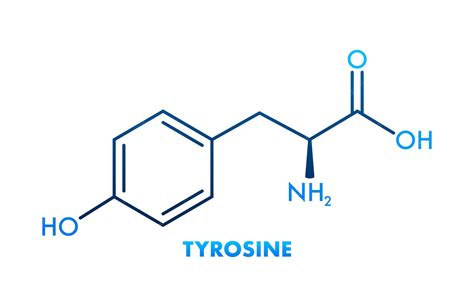 Tyrosine Structure
