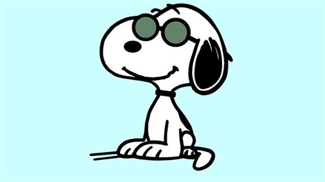 Snoopy Wearing Sunglasses Wallpaper 1920x1080 Png Homemade Wallpaper