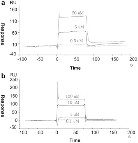 Ab Superimposed Sensograms From Binding Experiments Using Biacore Download Scientific Diagram