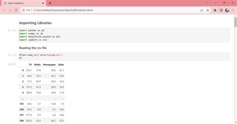Nisha Dhamala On Linkedin Python Dataanalysis Codsoft Internship