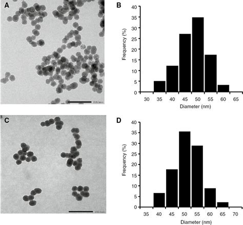 A C Transmission Electron Microscopy Tem Micrographs And B D