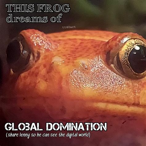 Turned My Frog Into A Meme 👍 Rfrogs