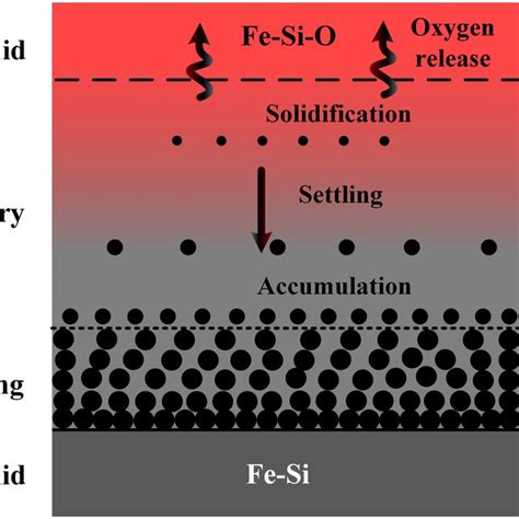 Schematic Cartoon Showing The Solidification Element Partitioning And