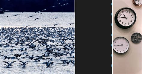 List Db Curated By Marouane Medium