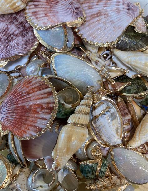 52 Seashells And Sea Shells Ideas To Save Today Mermaid Aesthetic