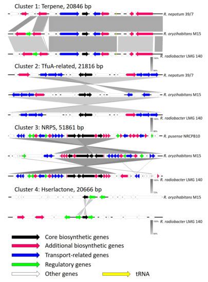 Microorganisms Special Issue Microbial Isolation And Characterization