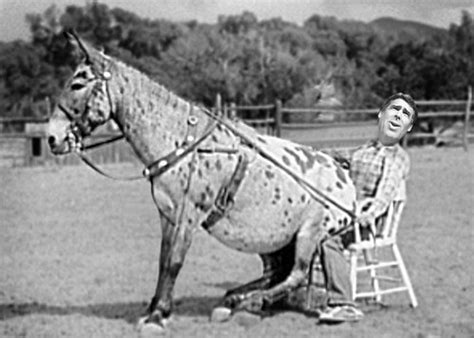 Rick Perry Back In The Saddle Oops Ye Olde Fashioned P… Flickr