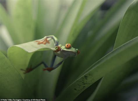 The Awe Inspiring Winners Of A Prestigious Nature Photo Contest From A