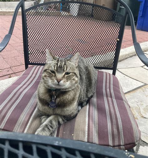 Shirley Fancy Feet R Fancyfeet