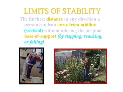 Dynamic Posturography Sensory Organization Motor Control Testing Posture