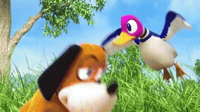 Duck Hunt Shooting Off 