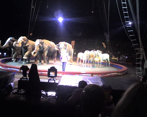 Ringling Brothers Circus In Houston 2006 Sonyfoto Flickr