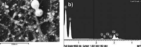 Frontiers Silver Decorated Bacterial Cellulose A Tunable