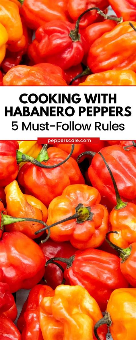 How To Freeze Habanero Peppers Artofit