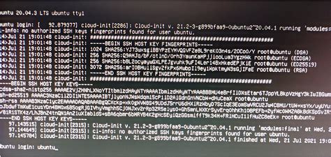 Installer Ubuntu Server 20 Sur Un Raspberry Pi Bitsparadise