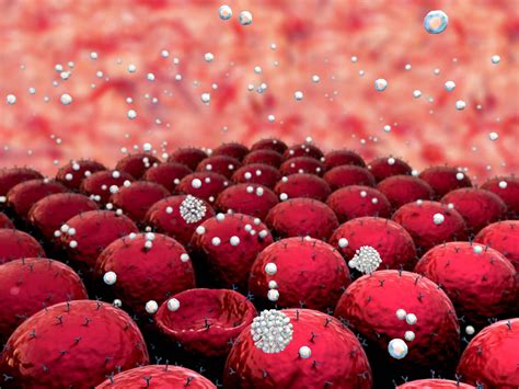 Bloodborne Pathogens Course Netc Health