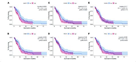 Survival Analysis Using Rna Seq Data Of The Cancer Genome Atlas