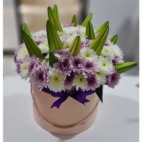 Ginger Package Vision T Shop