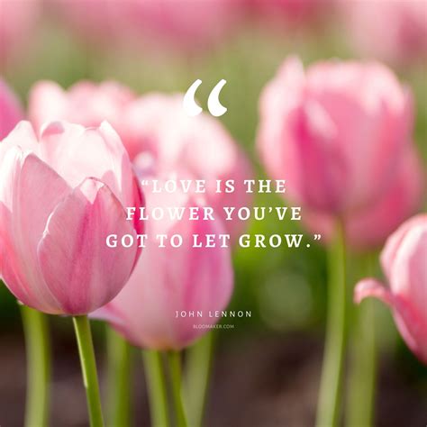Cute Quotes And Sayings