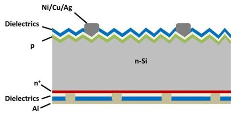 Cross Sectional Schematics Of An N Type Pert Cell Download Scientific
