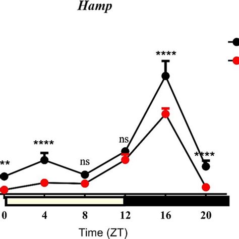 Quantitative Expression Levels Of The Hamp Gene In Mouse Liver Tissue Download Scientific