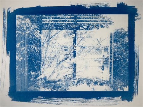 Cyanotypes Grace Morris
