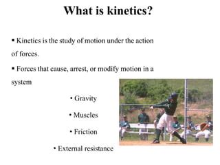 Kinetics And Kinematics Pdf