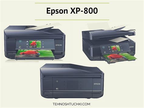 Модели Epson принтеры Epson L810 Epson P50 и Epson Xp 800